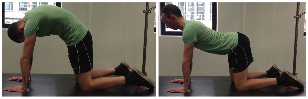 Four Simple Back Mobility Exercises | Bend + Mend: Physiotherapy and ...