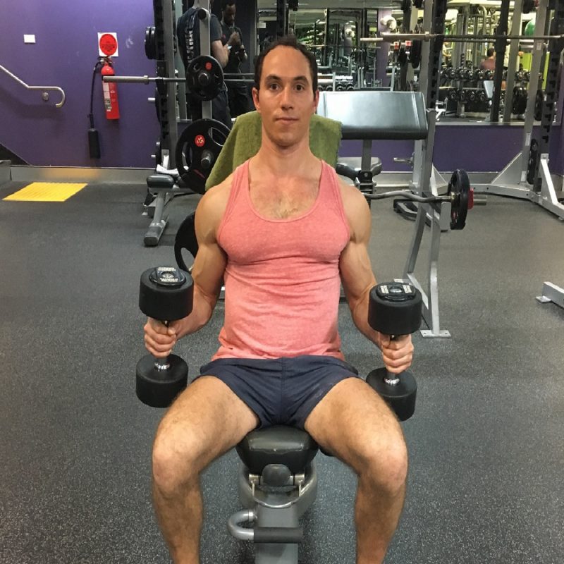 How To Maximise My Biceps Growth? | Bend + Mend: Physiotherapy and ...